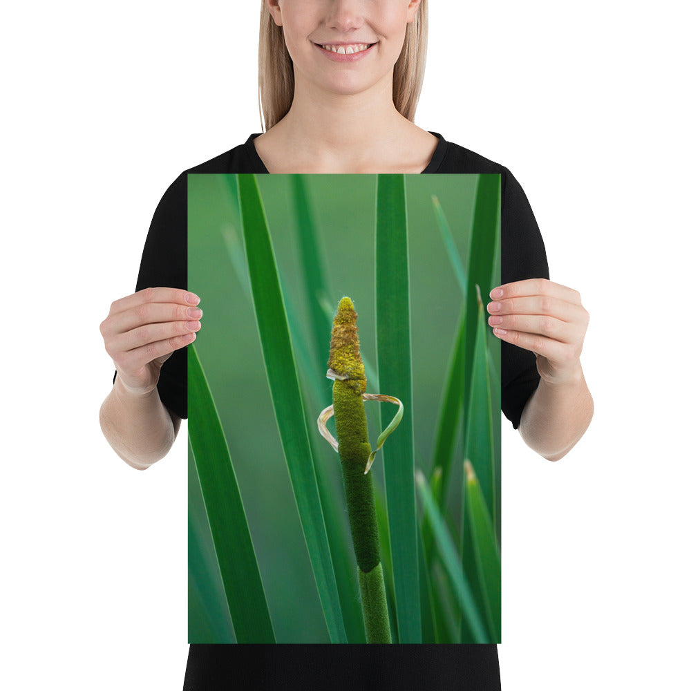 Have You Seen The Little Green Man Poster? – DenverCool